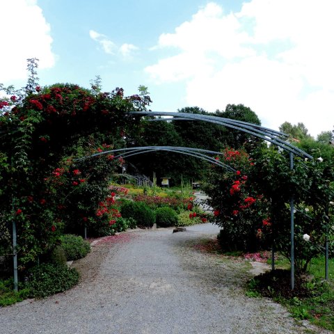 Entdecken | Bad Emstal
