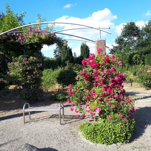 Entdecken | Bad Emstal